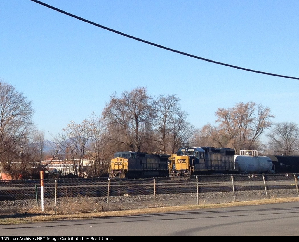 Tied up for Thanksgiving